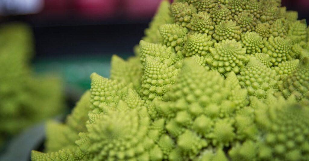 Comment préparer le choux romanesco : trucs et astuces
